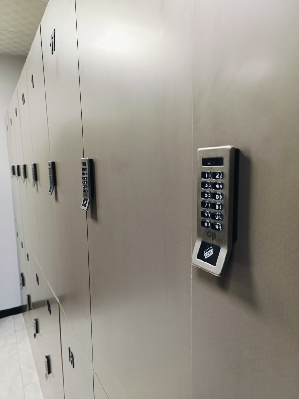 Project - Golden Boxing Ring - OjiSmart